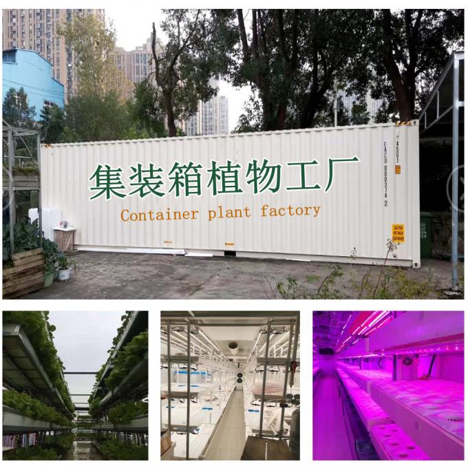 Smart Grow Hydroponic Vertical Farming System Shipping Container Farm ...