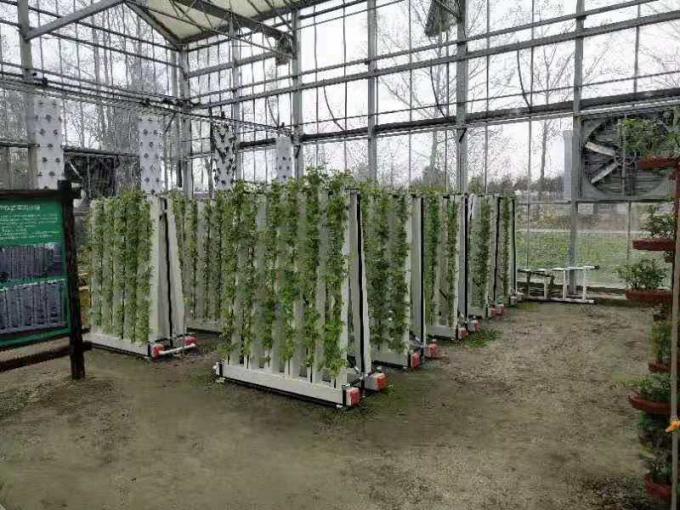 Zipgrow Hydroponic Indoor Garden Plant Hydroponic System With LED Light