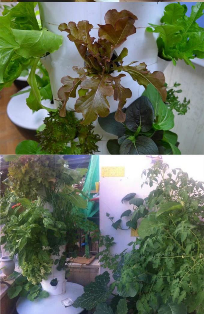 Home Garden vertical Grow Kit tower garden aeroponics system DIY ...