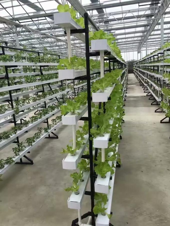 New arrival Hydroponics NFT Greenhouse System with PVC Pipe growing ...
