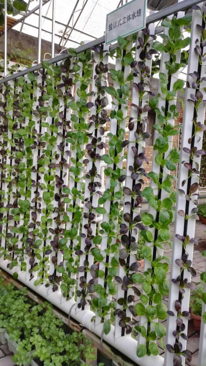 Commercial Hydroponics Nft Strawberry And Flower Vertical Growing ...