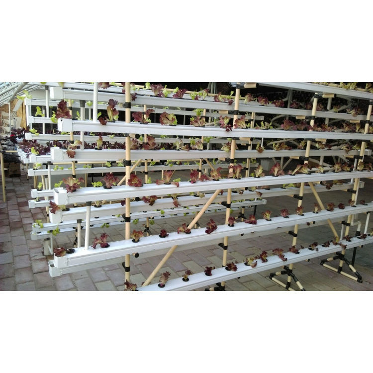 New arrival Hydroponics NFT Greenhouse System with PVC Pipe growing ...